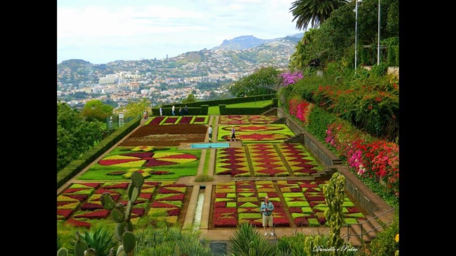 Guided Tuk-Tuk Tour to Botanical Garden (From Funchal) - Authentic Experiences and Real Feedback