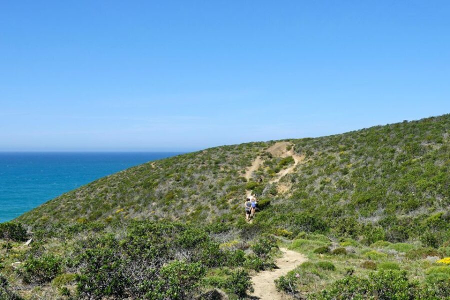 Guided Walk+Picnic: Western Algarve´s Wild Beauty - A Detailed Look at the Itinerary and Experience