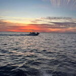 Gulf of Morbihan cruise with/without stopover on Île-aux-Moines - An Authentic Guide to the Gulf of Morbihan Cruise