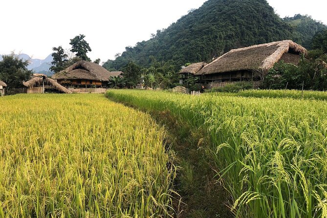 Ha Giang Comfort Car Ride 4D3N - Key Points