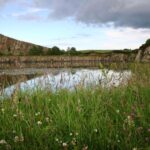 Hadrian's Wall: 2-Hour Guided Tour - Authentic Experiences and Real Feedback