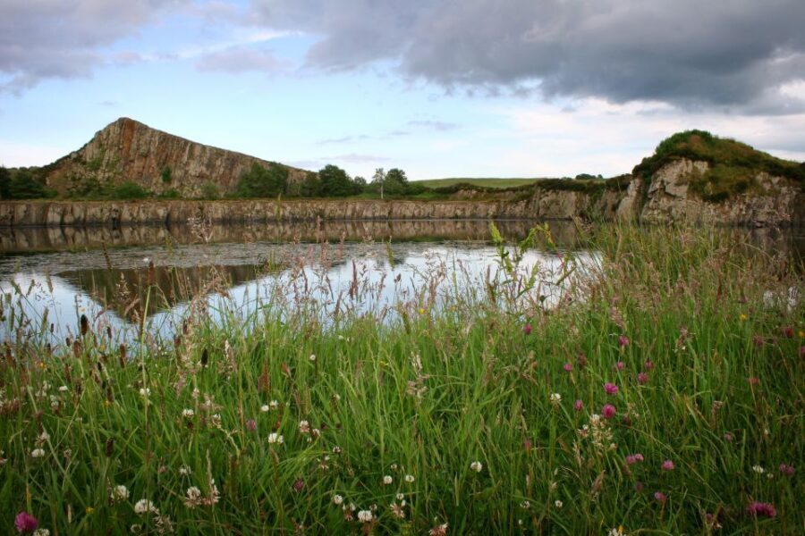 Hadrian's Wall: 2-Hour Guided Tour - Authentic Experiences and Real Feedback