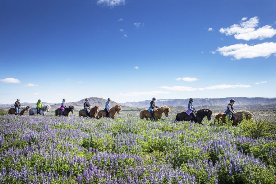 Hafnarfjörður: Horseback Riding Tour in Reykjavik Area - Additional Practical Details