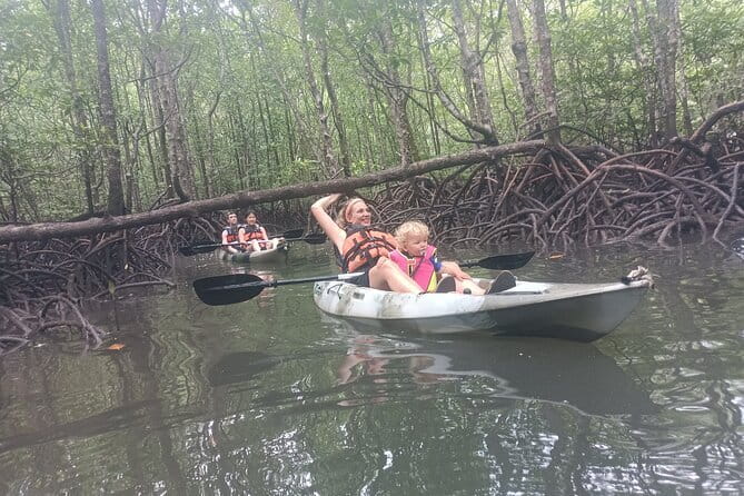 Half-day 4 Hours Kilim Mangrove Kayaking (Without hotel pickups) - Discover the Magic of Kilim Mangrove Kayaking in Langkawi