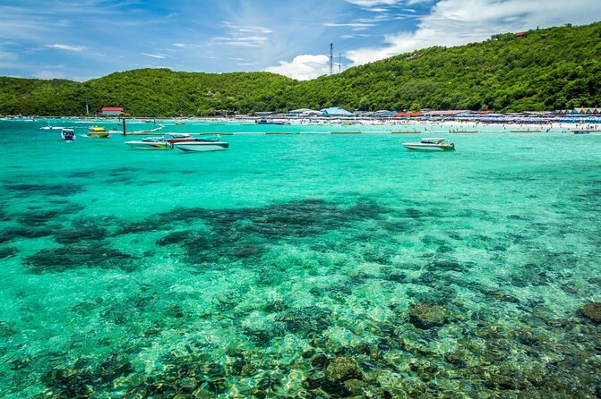 Half-day Coral Island Join Tour with Lunch from Pattaya - Key Points