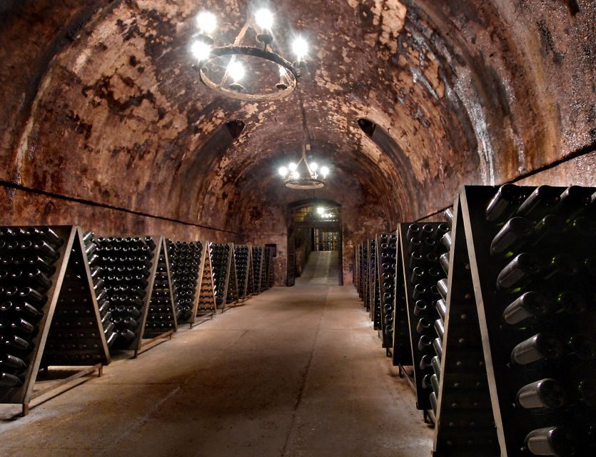 Half-Day Food and Wine Experience in Franciacorta - Analyzing the Value