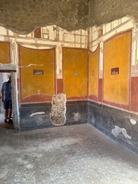 Half-Day Herculaneum and Pompeii Tour from Positano - What Makes This Tour Stand Out?