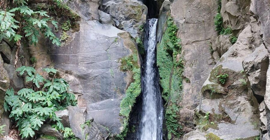 Half Day Lagoa do Fogo 4X4 tour and Gin Library - The Practical Details: What to Expect