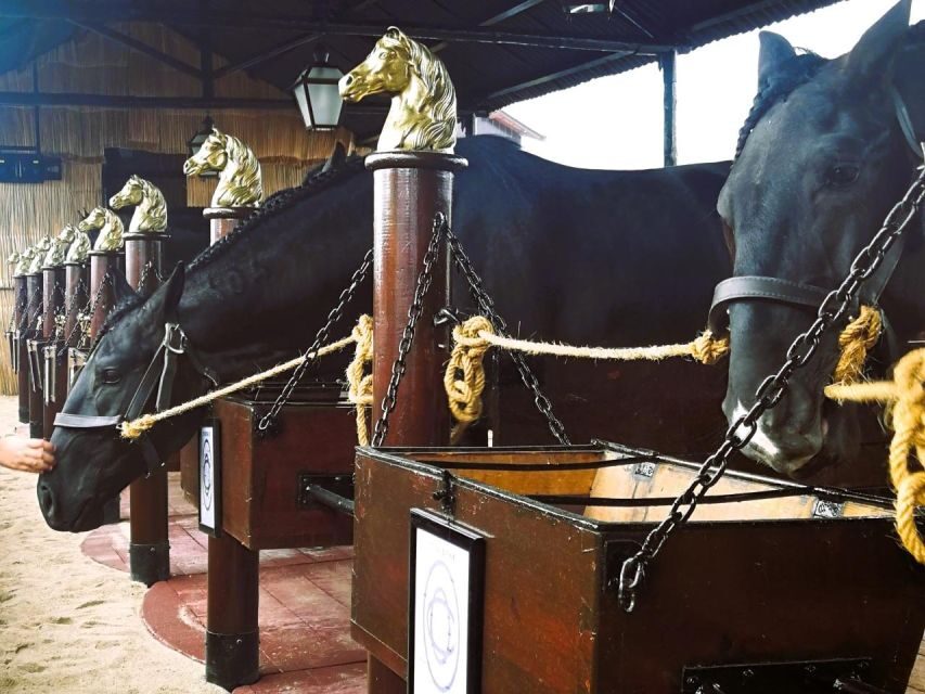 Half-day Lusitanian Horses & Photography Museum private tour - Who Is This Tour Best For?