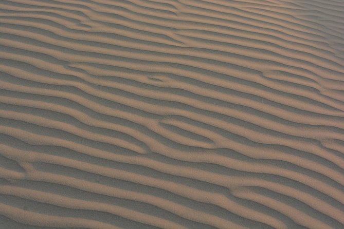 Half day, non touristic sand dune ,camel safari with dinner - Introducing the Camel Safari in Jaisalmer