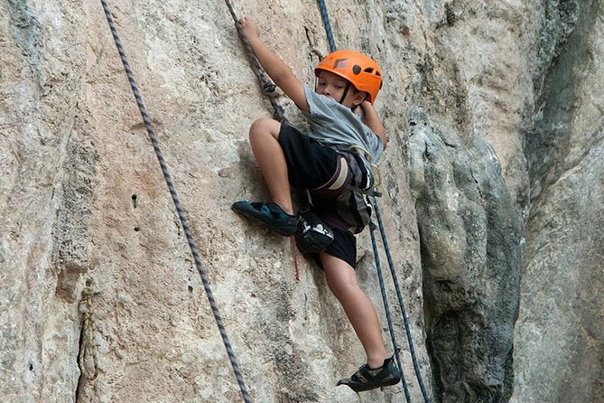 Half-Day Rock Climbing Course at Railay Beach by King Climbers - Key Points