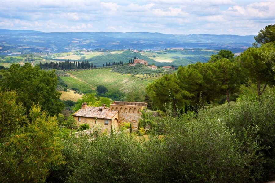 Half-Day Tour of San Gimignano From Florence - Exploring San Gimignano: Sightseeing, Tastings, and Free Time