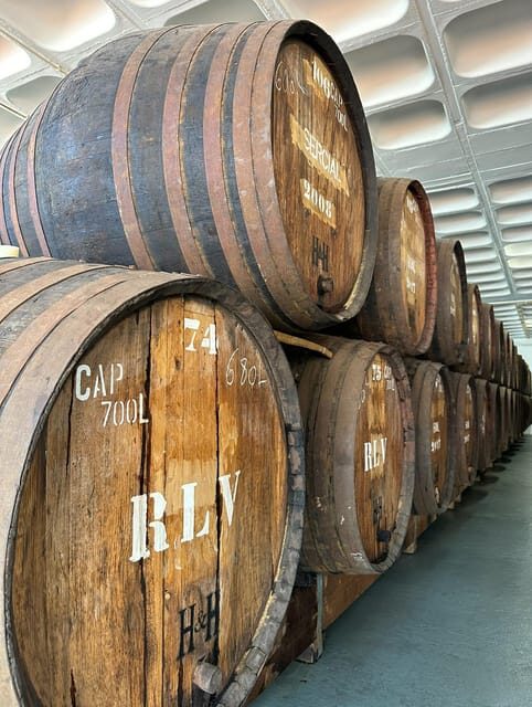 Half Day tour with Madeira Wine tasting - What Travelers Say About This Experience