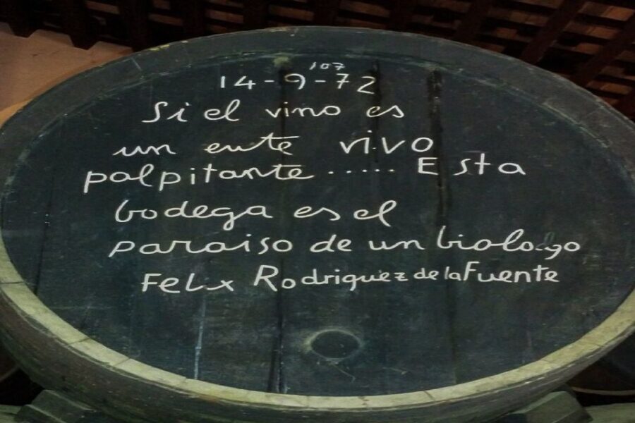Half-Day Wine Tour in Andalusia in small group - Deep Dive into the Itinerary