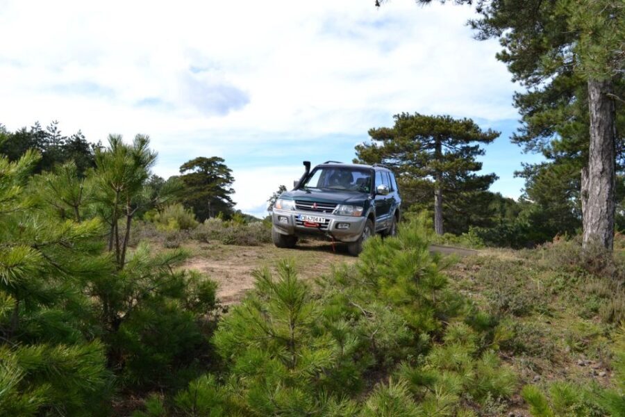 Halkidiki: Kassandra 4x4 Jeep Safari Off-Road Experience - What’s Included and What’s Not