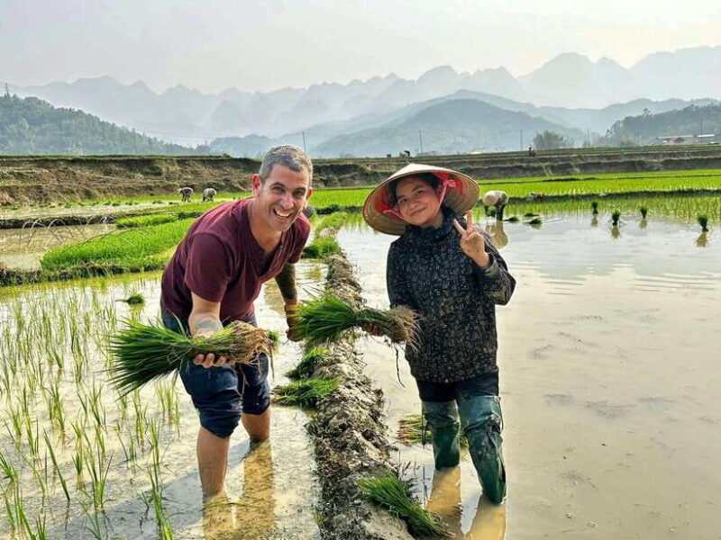 Hanoi: 3-Day Authentic Sapa Trekking, Fansipan by Cable Car - Key Points
