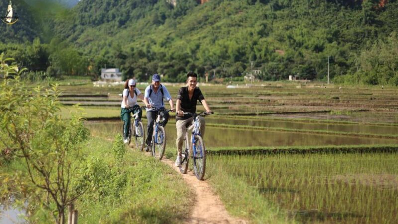 Hanoi: Cycling Tour of Hoa Lu, Trang An with Meals and Guide - Key Points