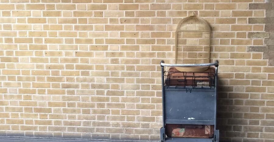 Harry Potter Private Tour of London in Spanish - Exploring London Through the Harry Potter Lens