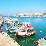 Heraklio Private Shore Excursion, Palace of Knossos & Museum - Who Would Love This Tour?