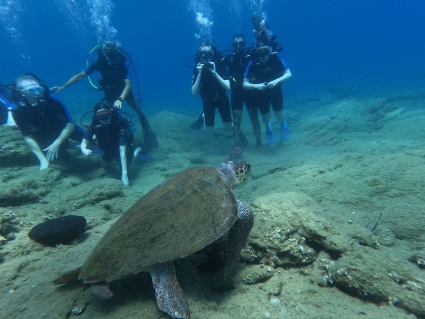 Heraklion: Beginner's intro dive w/2 Dives with transfer. - Who Should Consider This Tour?