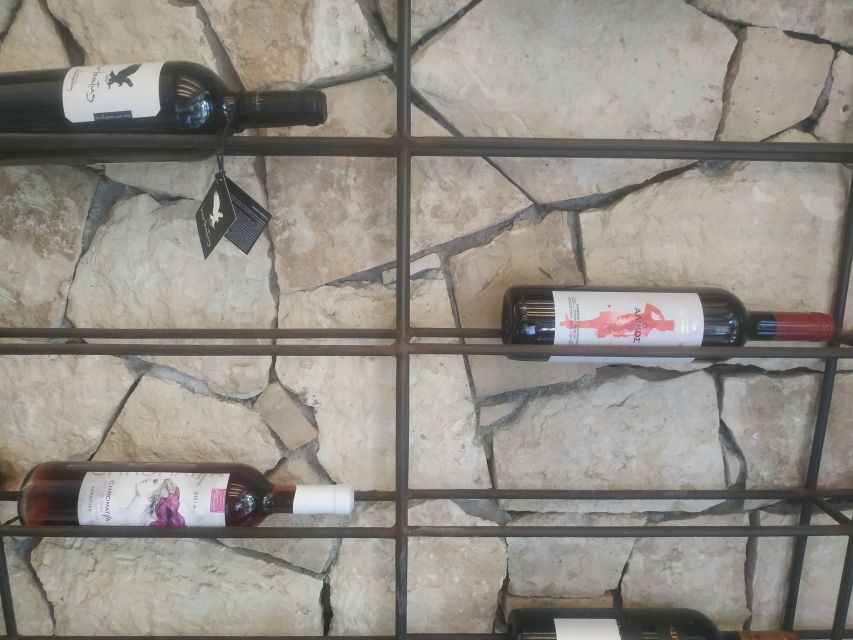 Heraklion: Ecobike Tour with Wine Tasting - The Wine Tasting Experience