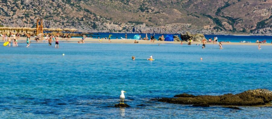 Heraklion: Elafonisi Beach: Discover the Pink Sand Paradise - The Highlight: Elafonisi Beach