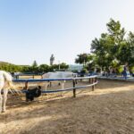 Heraklion: Finikia Horse Riding Tour with Lunch or Dinner - Final Advice
