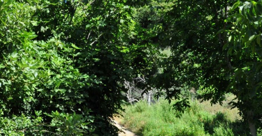 Heraklion: Full Day to Rihti Waterfalls, Mochlos, Azoria - Assessing the Value: Is It Worth It?