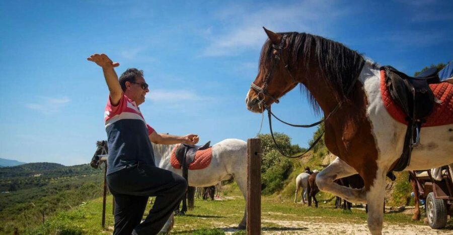 Heraklion: Horseriding Day Tour with Lunch and Transfer - Why This Tour Offers Good Value