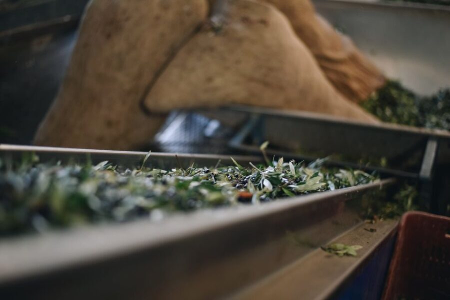 Heraklion: Olive Farm Tour with Tasting of Local Delicacies - The Itinerary Breakdown