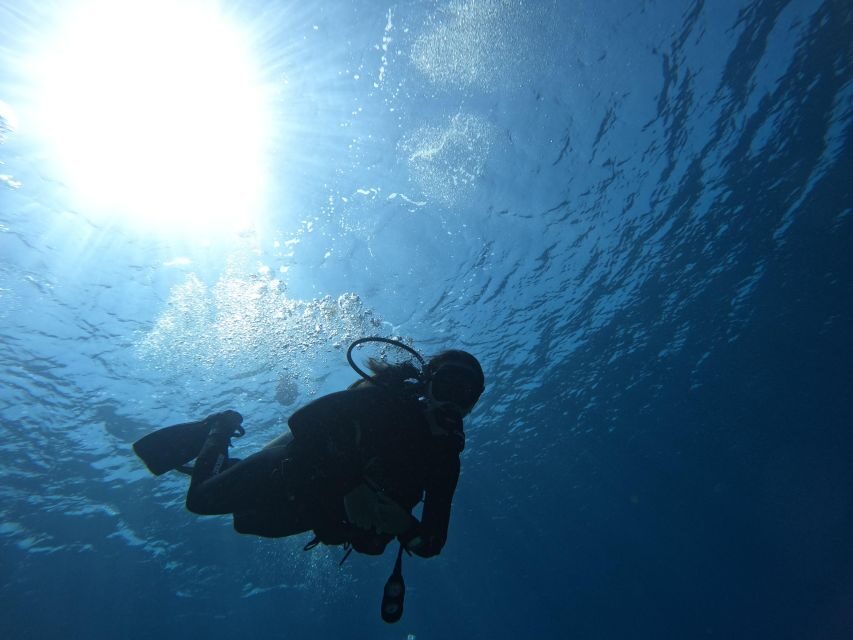 Heraklion: Try Scuba Diving For Beginners (1 dive) - Practical Tips for Your Dive Experience