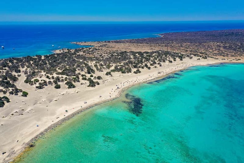 Heraklion:Cruise to Chrissi island natural park with pick up - The Itinerary: What to Expect from Dawn to Dusk