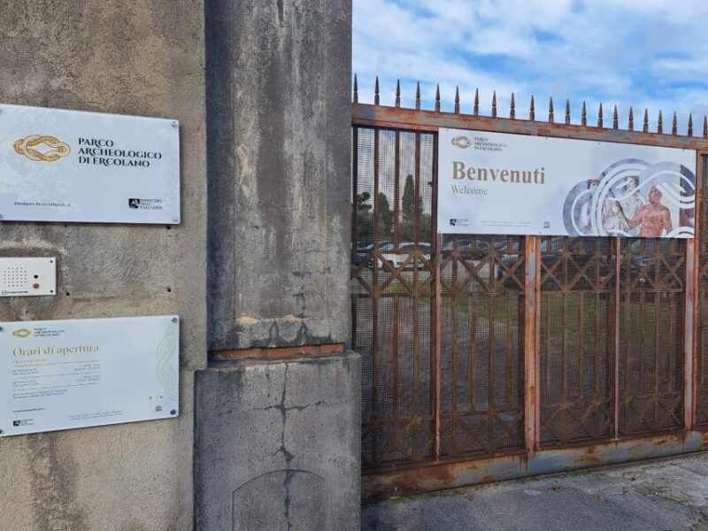 Herculaneum: 2hour Shared Guided Tour + entry tickets - Key Points