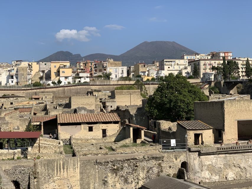 Herculaneum: Tickets & Tour with a Local Archaeologist - The Value of the Experience: What It Means for Travelers