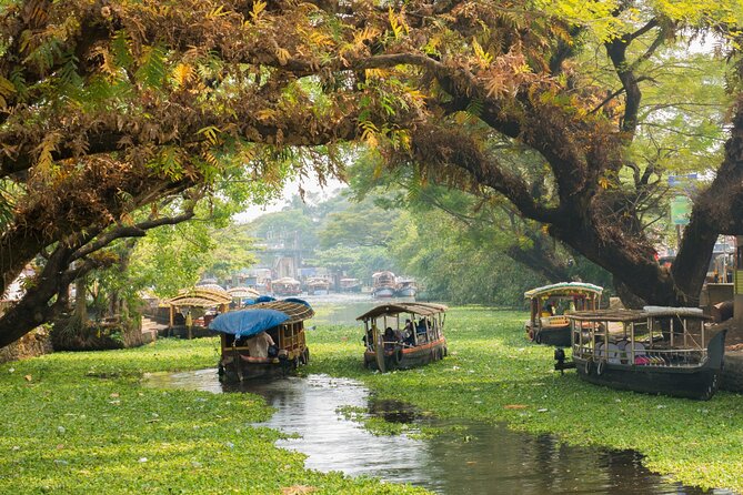 Heritage & Cultural Walk of Alleppey (Guided Walking Tour) - Heritage & Cultural Walk of Alleppey (Guided Walking Tour) — A Genuine Taste of Kerala’s Old Town