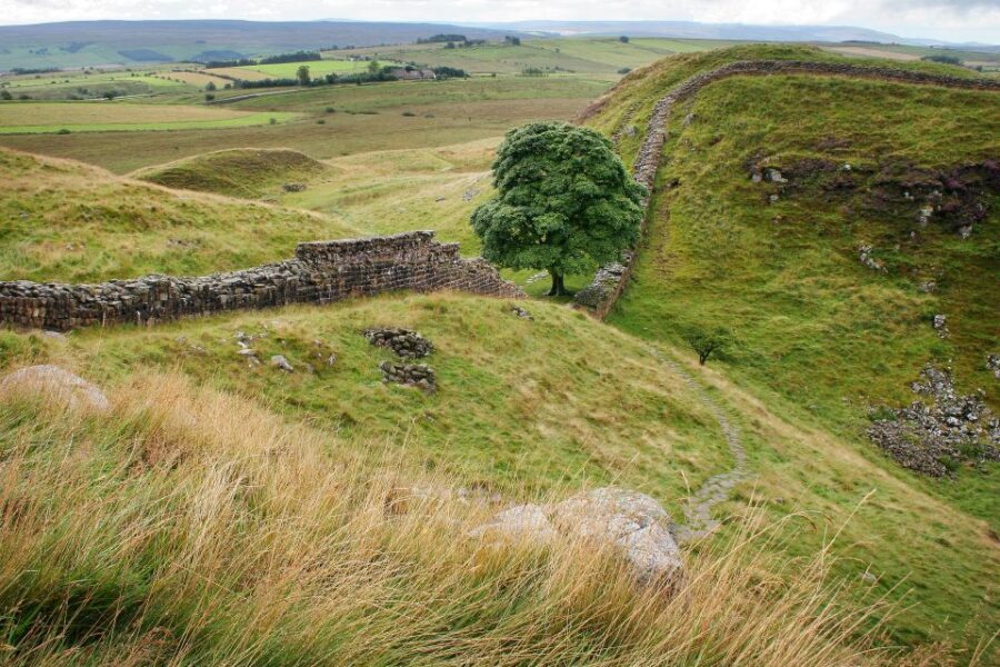Hexham: Hadrian's Wall and The Romans Full Day Guided Tour - Analyzing the Value