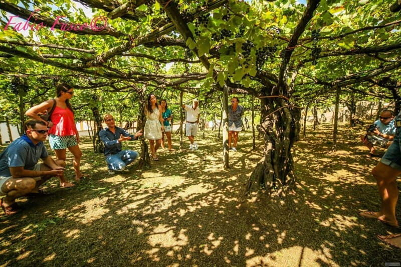 Hidden Amalfi:Vespa Tour Throught Secret Villages - What the Reviews Say