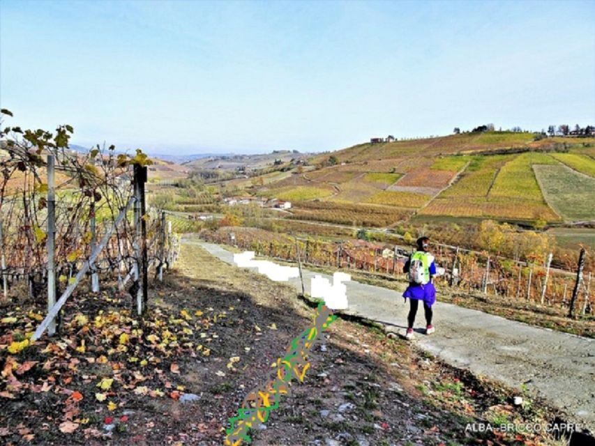 Hiking and wine tour starting from Alba - What To Expect and Practical Details