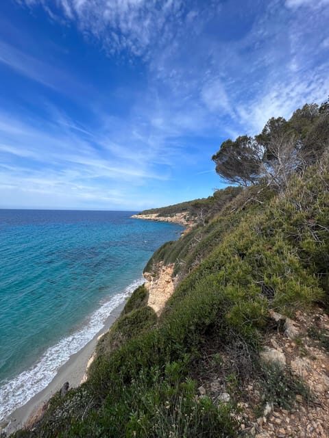 Hiking Experiences in Menorca Private Guided Half Day - The Different Trail Levels and What They Mean for You