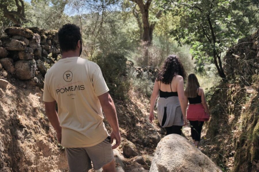 Hiking in Nature: Guided paths passing through Marvão - The Scenic Highlights