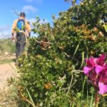 Hiking tour to Highest Limestone Cliff in Europe - Who Is This Tour Best Suited For?