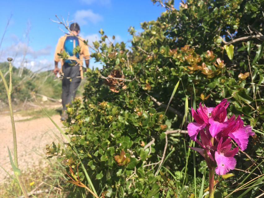 Hiking tour to Highest Limestone Cliff in Europe - Who Is This Tour Best Suited For?