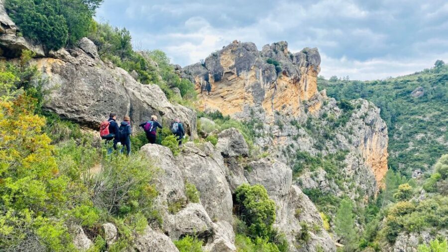 Hiking Tour to the Roman Aqueduct of Pena Cortada - Who Will Love This Tour?