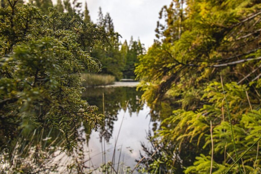 Hiking Trails - The Itinerary: What to Expect