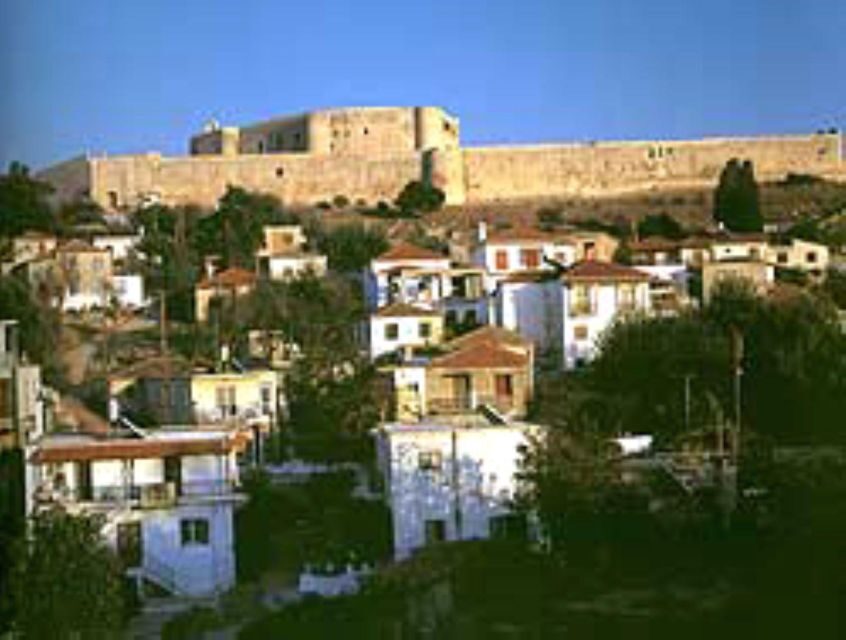 Hilarious walking adventure in the heart of Athens - Why This Tour Works for Travelers