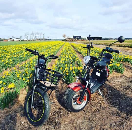 Hillegom: E-Scooter or E-Bike Rental in the Bulb Region - Final Thoughts