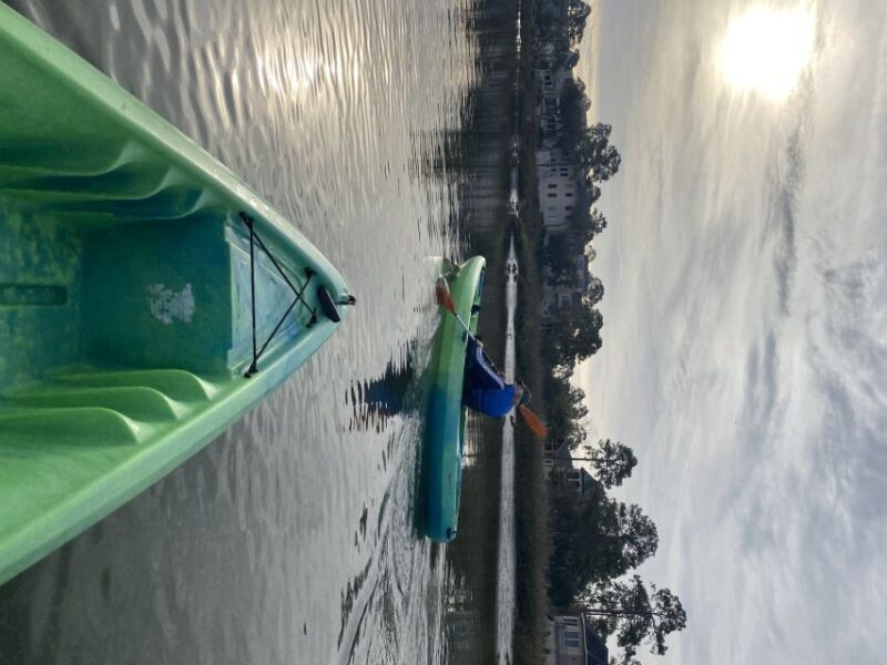 Hilton Head Island: 1.5-Hour Guided Small-Group Kayak Tour - What to Expect from This Hilton Head Kayak Tour