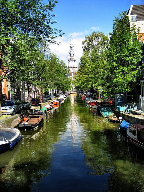 Historic Amsterdam 2-Hour Private Tour with Local Guide - Final Thoughts: Is It Worth It?
