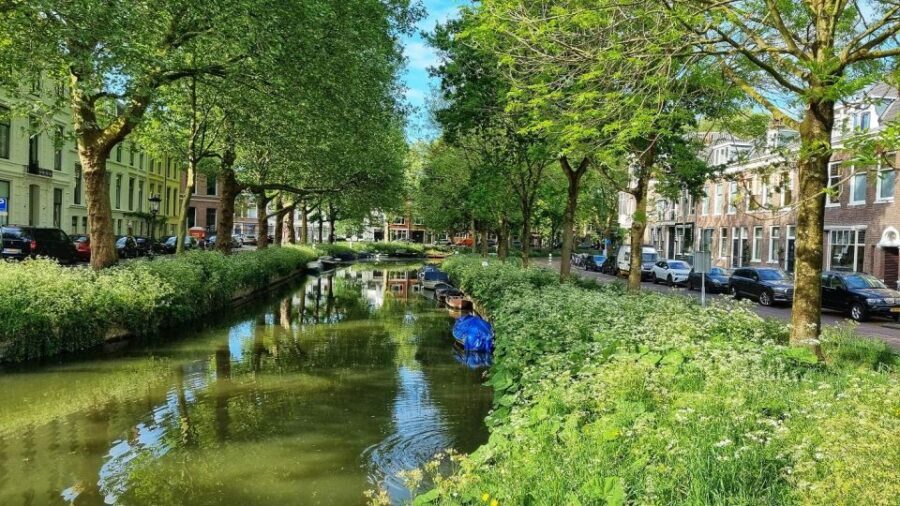 Historical Utrecht: Private Tour with Local Guide - A Closer Look at the Tour Experience