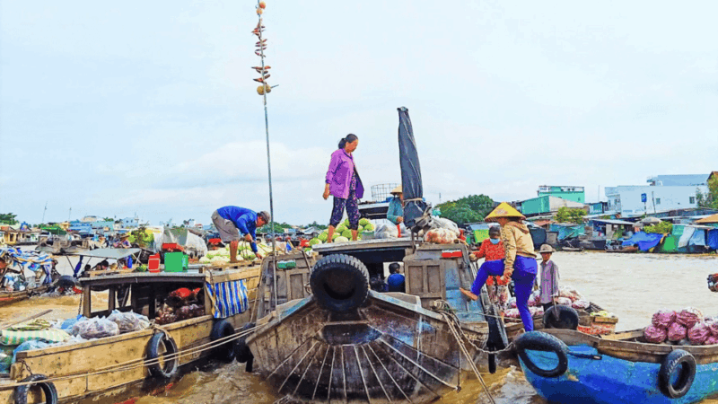 Ho Chi Minh: 1 Day Can Tho Floating Market & Cu Chi Tunnels - What Past Travelers Say